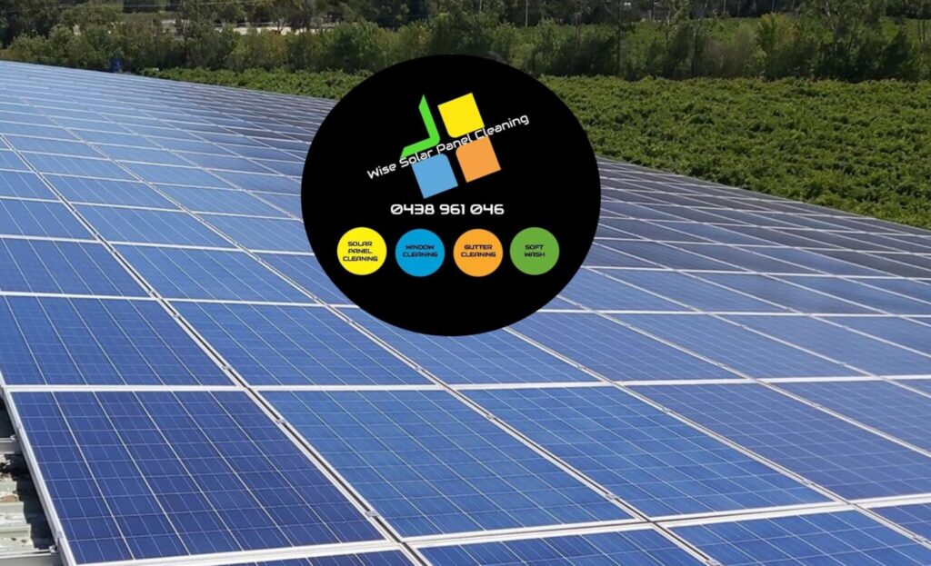 Wise Solar Panel Cleaning